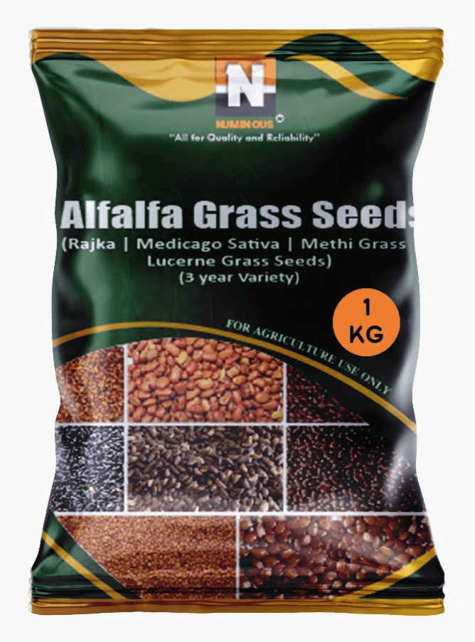 Alfalfa Seeds Indian Name